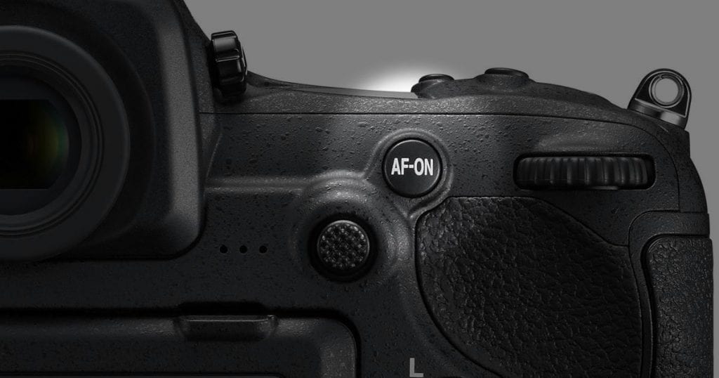 The Evolution of Back-Button Autofocus: The D500 (and D5)